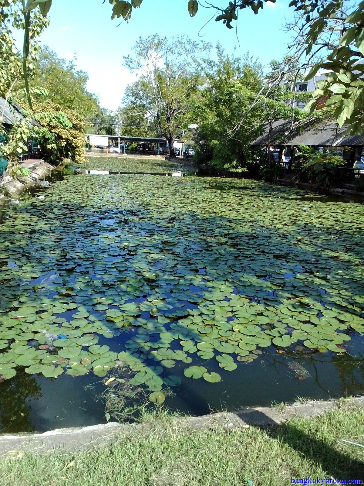 ラムカムヘン大学(Ramkhamhaeng University,มหาวิทยาลัยรามคำแหง) バンコク ...